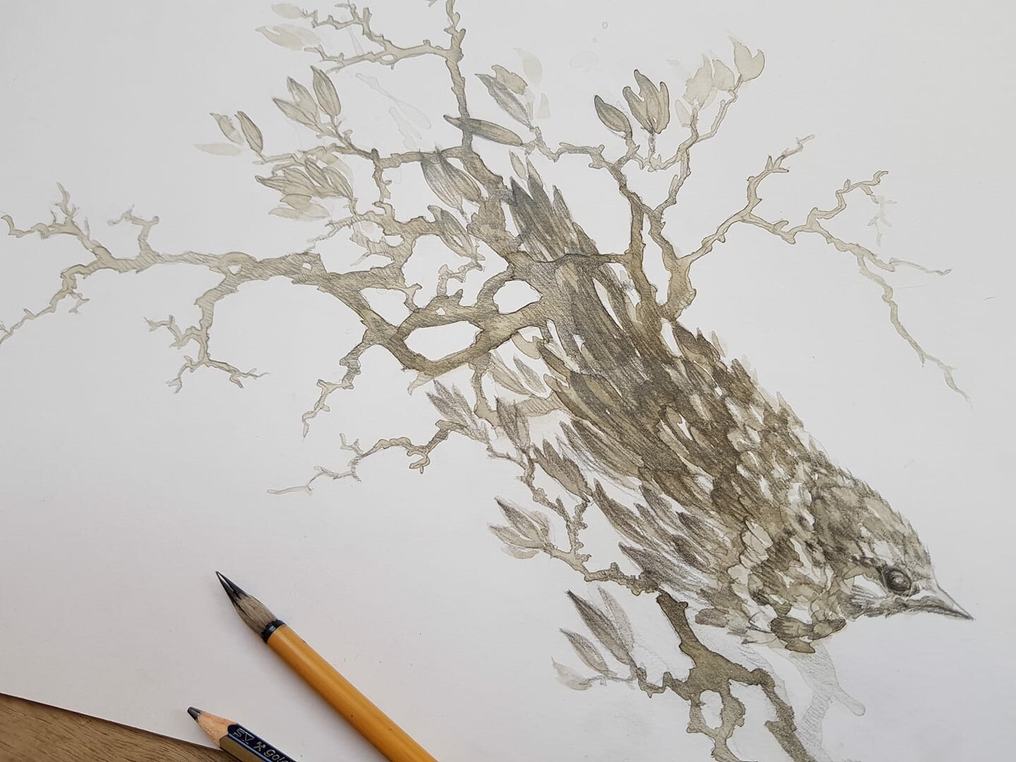 ArtStation - Paint, Free art & Haiku inspiration.