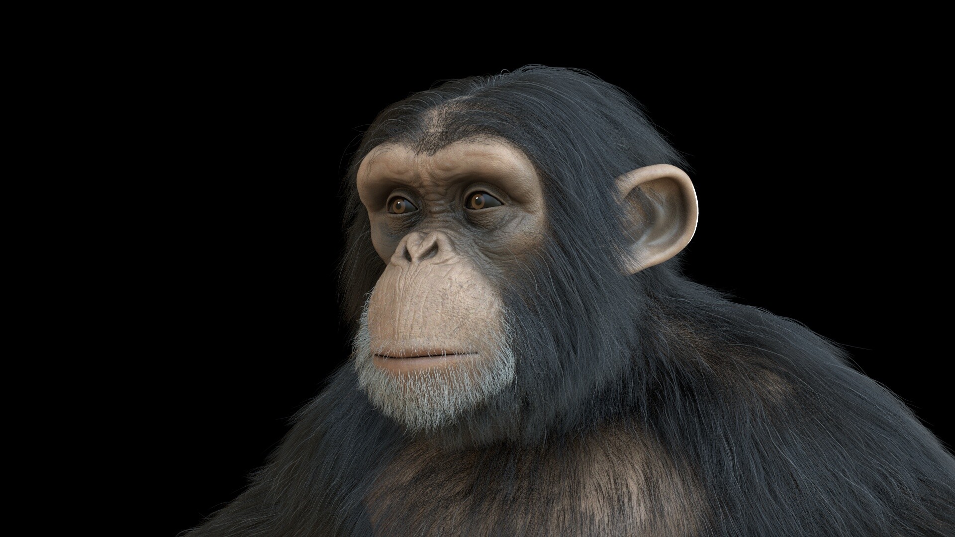 ArtStation - Chimp