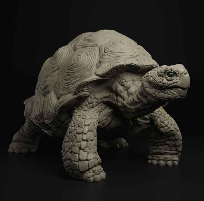 ArtStation - Giant Turtle
