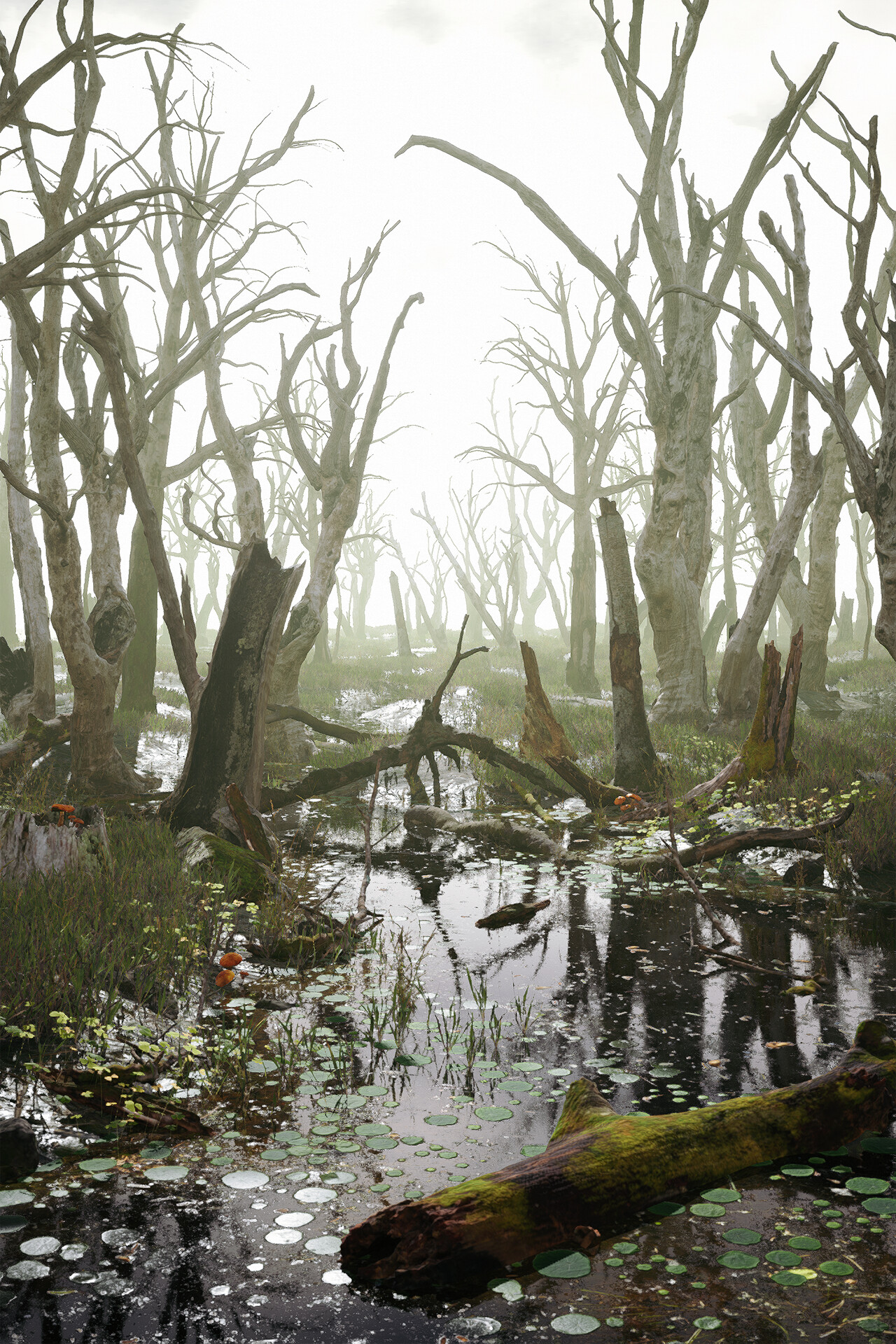 ArtStation - Swamp Megascans
