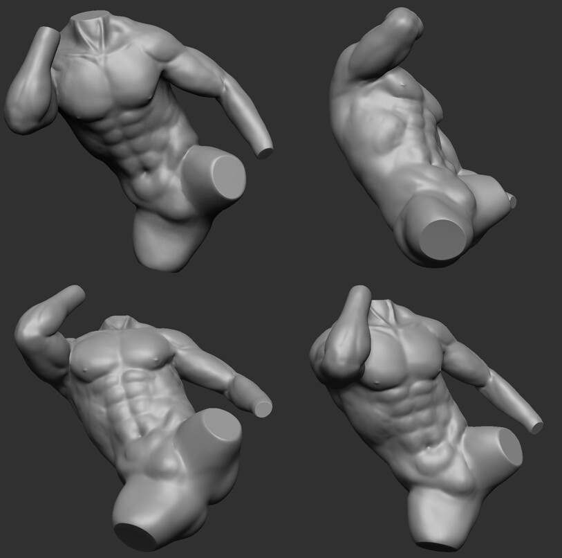 ArtStation - Torso study