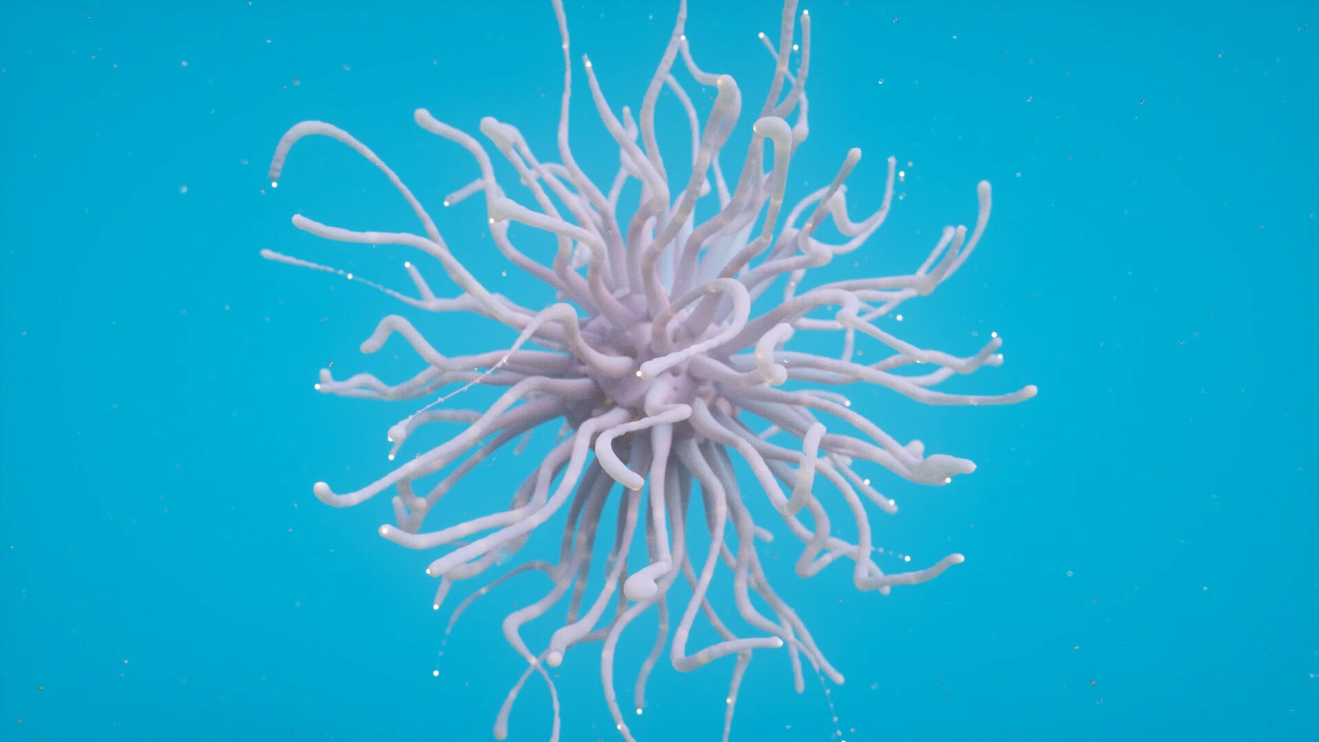 ArtStation - X-Particles RnD