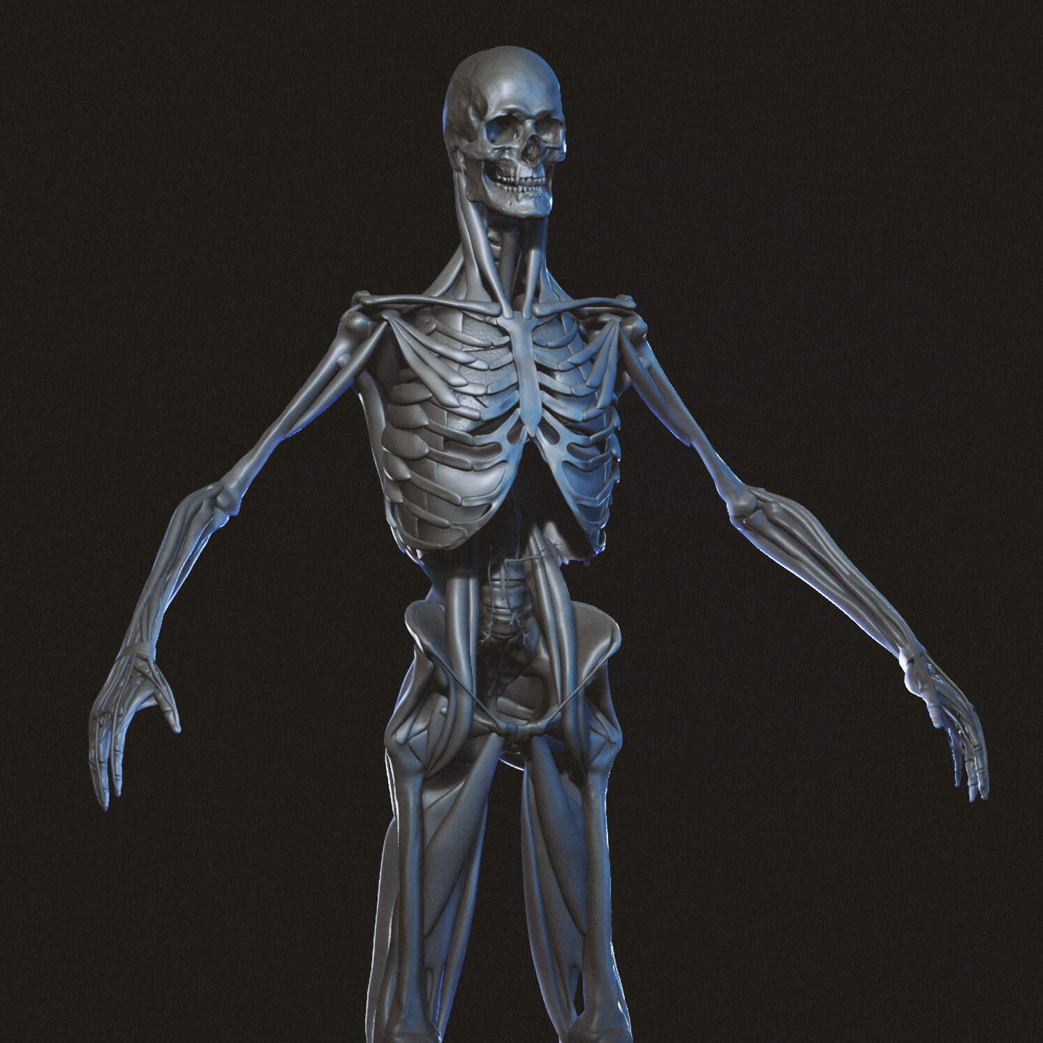ArtStation - Écorché (Anatomy Workout)