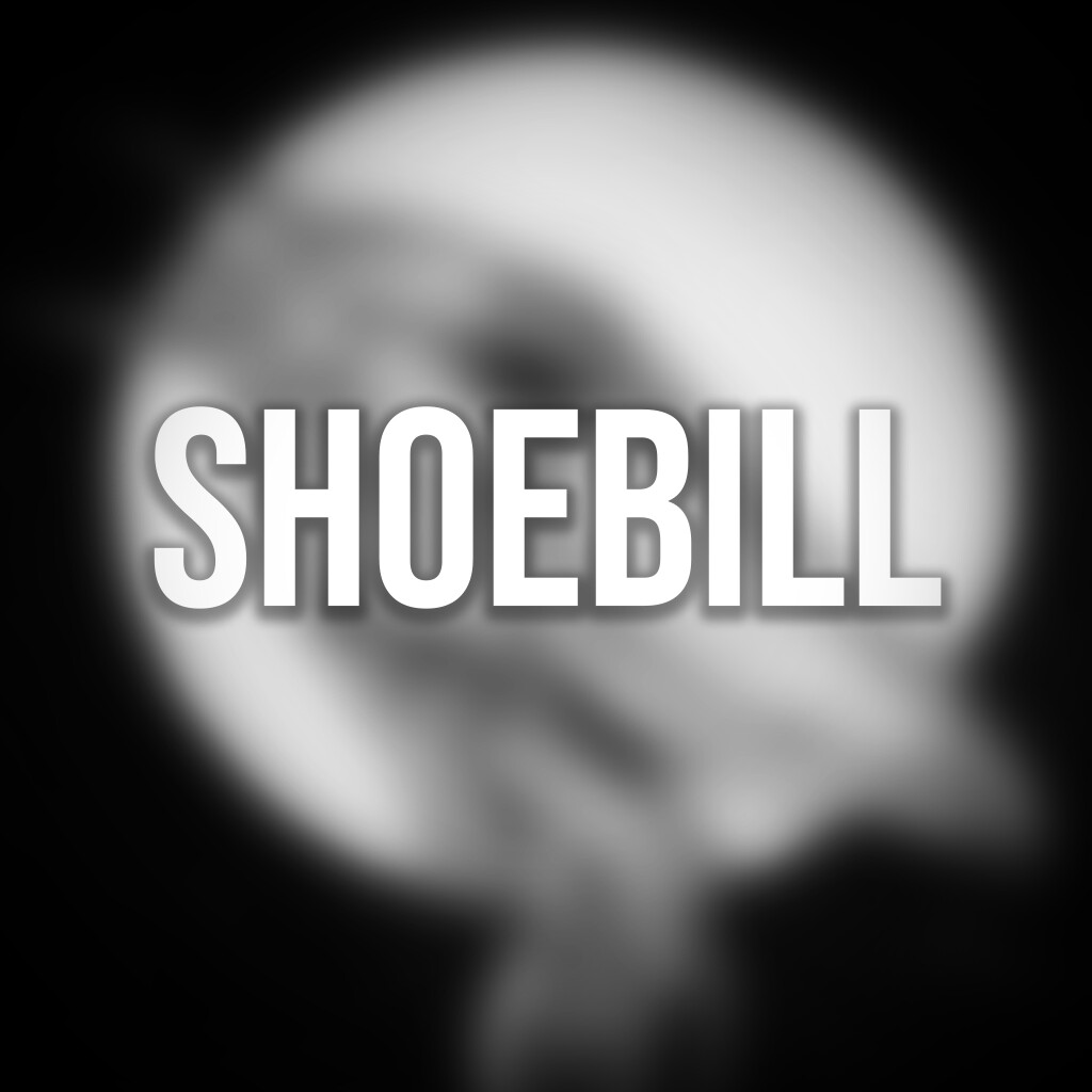 ArtStation - Shoebill