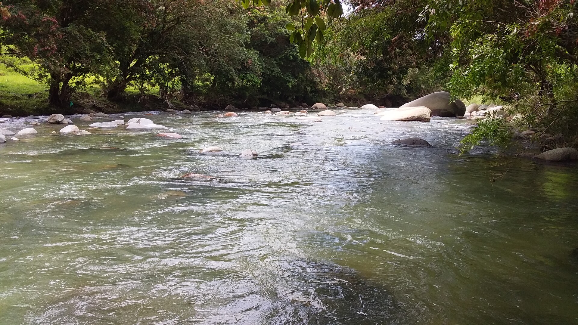 ArtStation - El río fluye