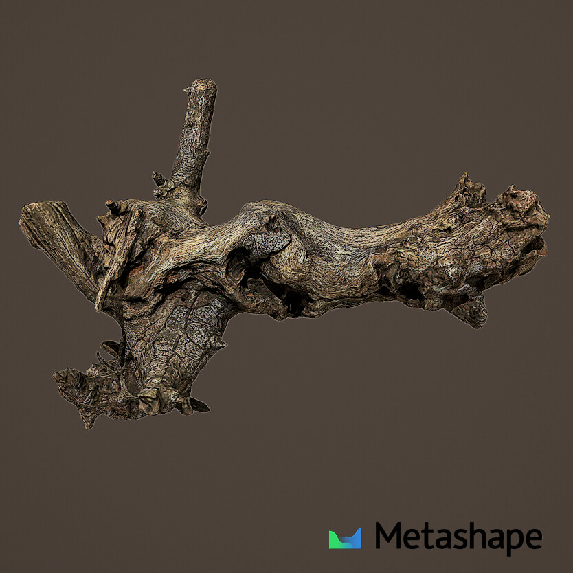 ArtStation - Branch - Photogrammetry