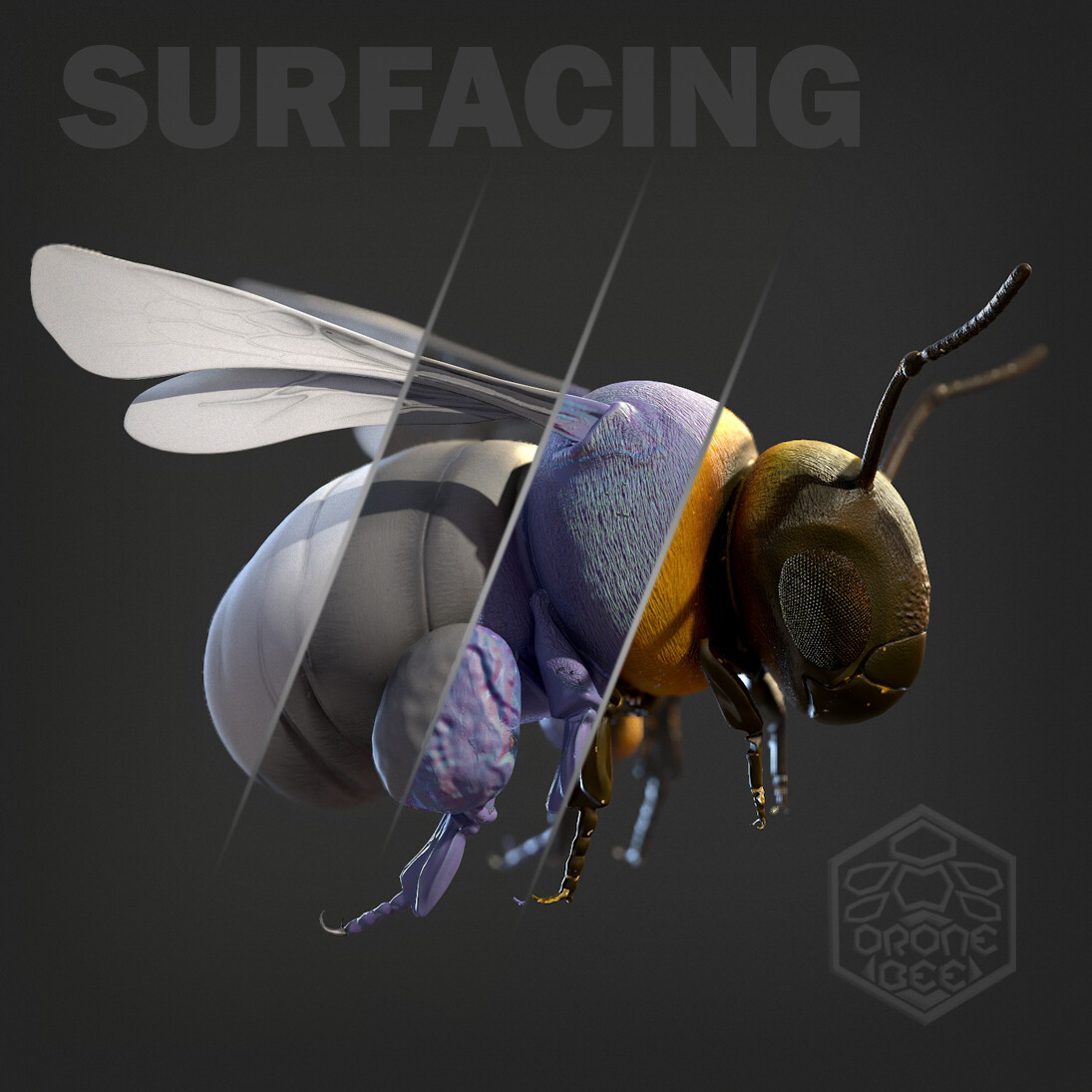 ArtStation - Bee