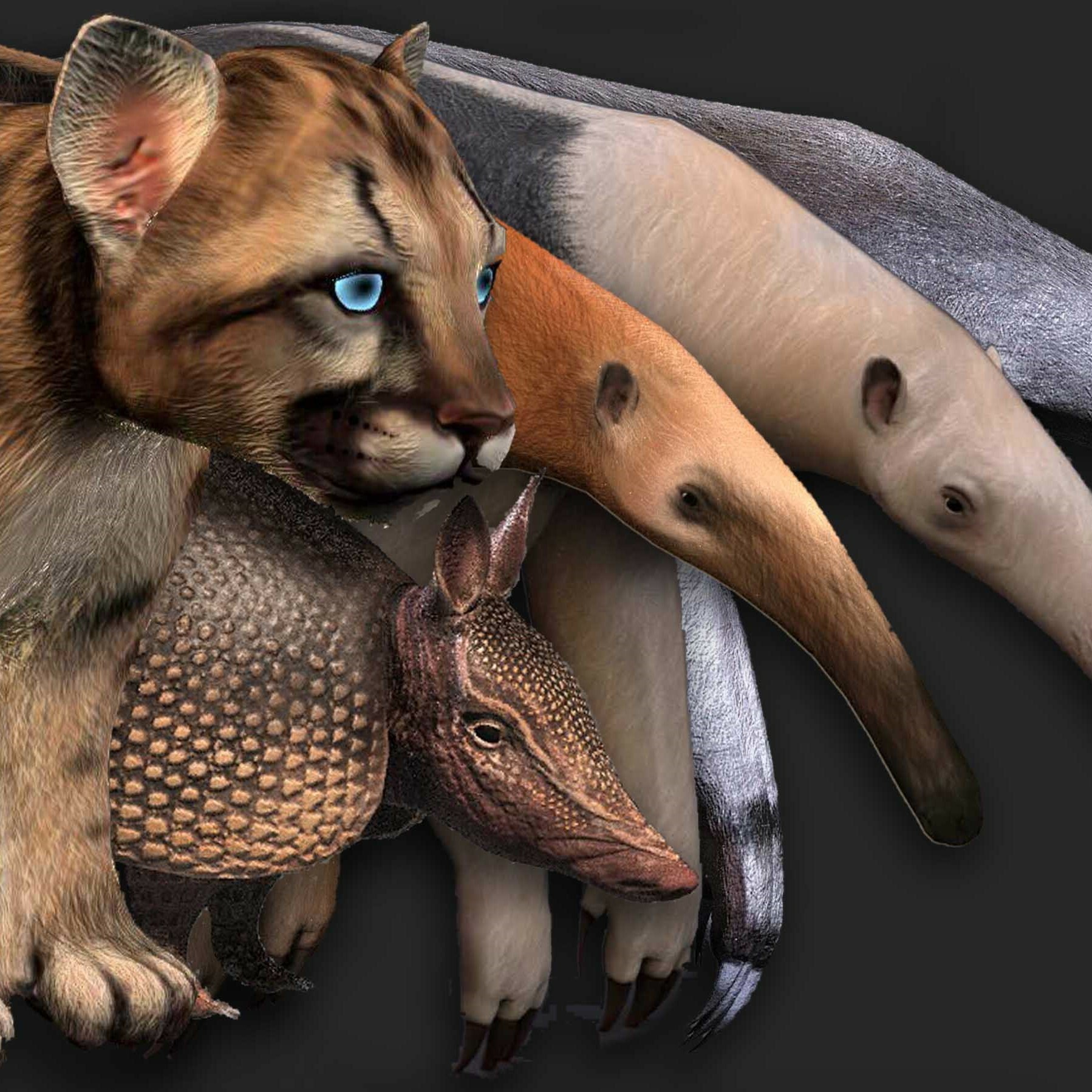 ArtStation - ZOO TYCOON ANIMALS