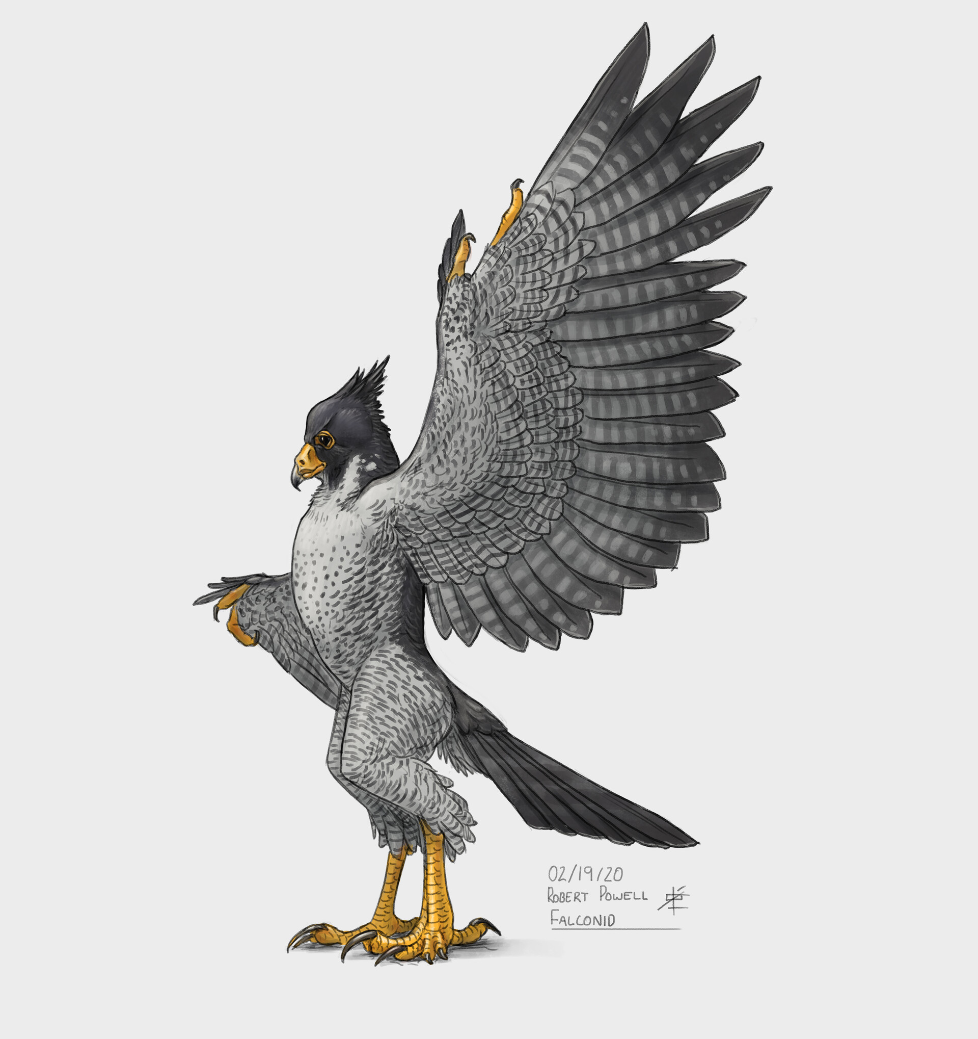 ArtStation - Falconid Hybrid