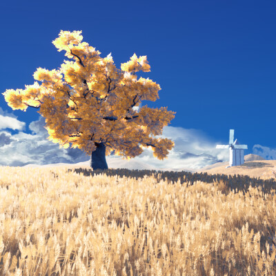 ArtStation - Wheat Field