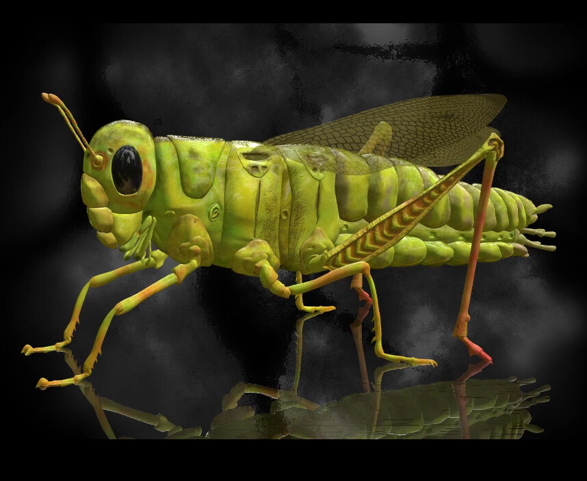 ArtStation - Grasshopper insects 3d model showcase