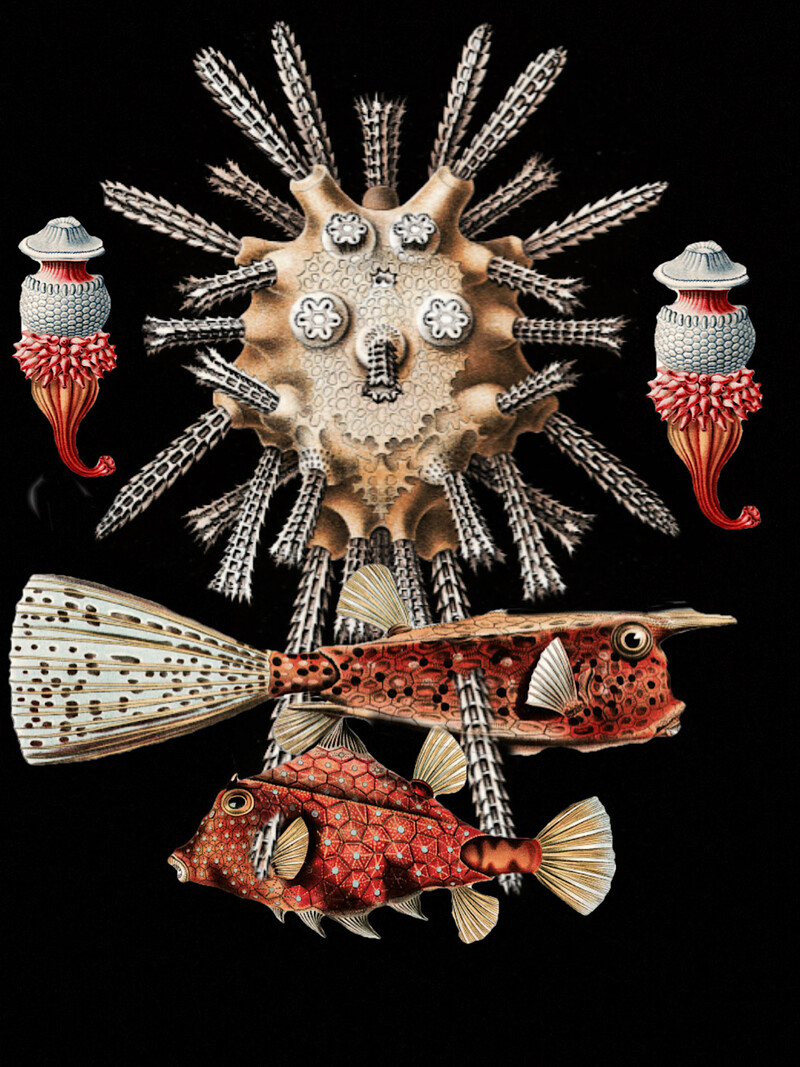 ArtStation - Marilena Kouvidi