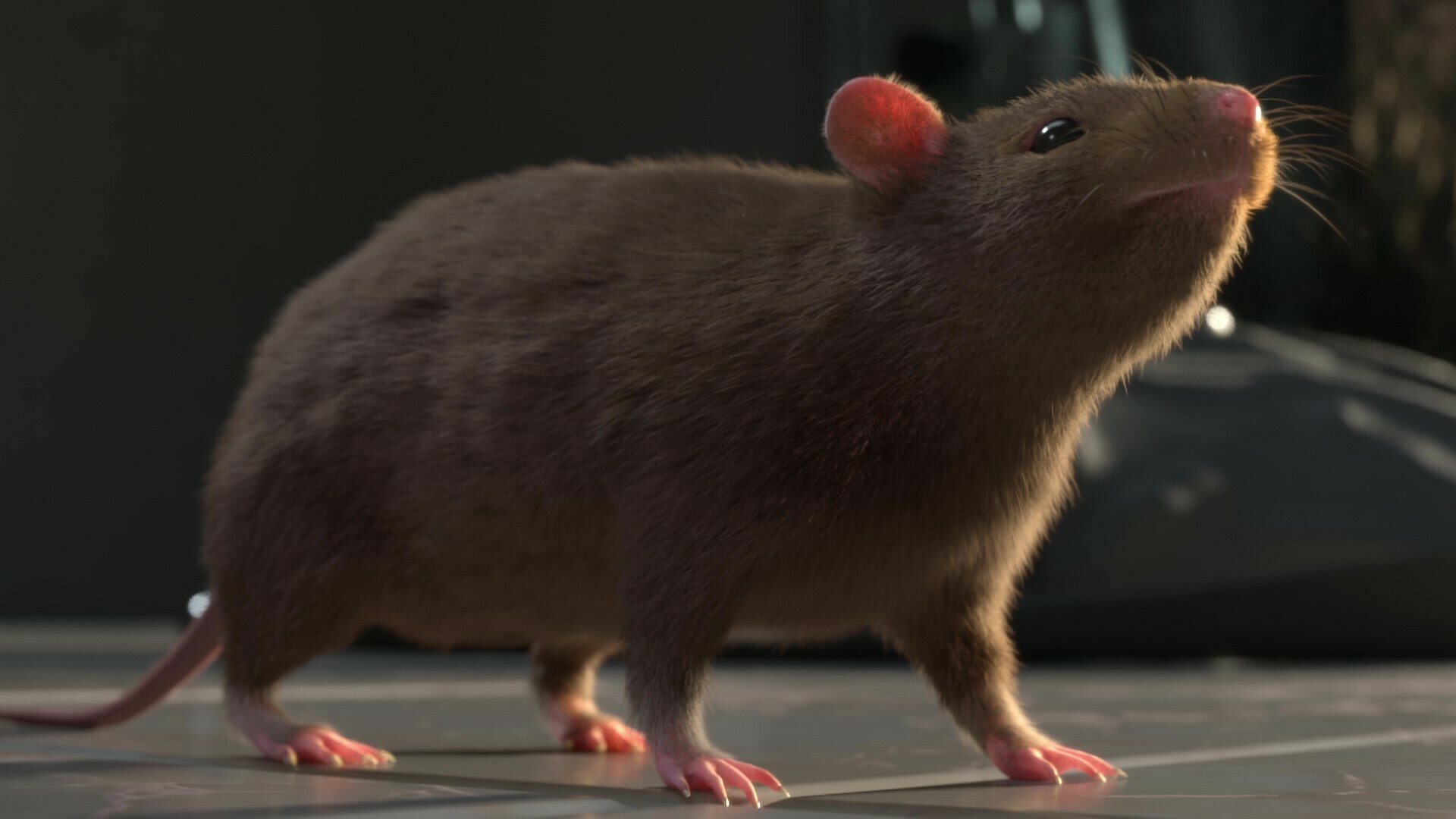 ArtStation - Radin short film