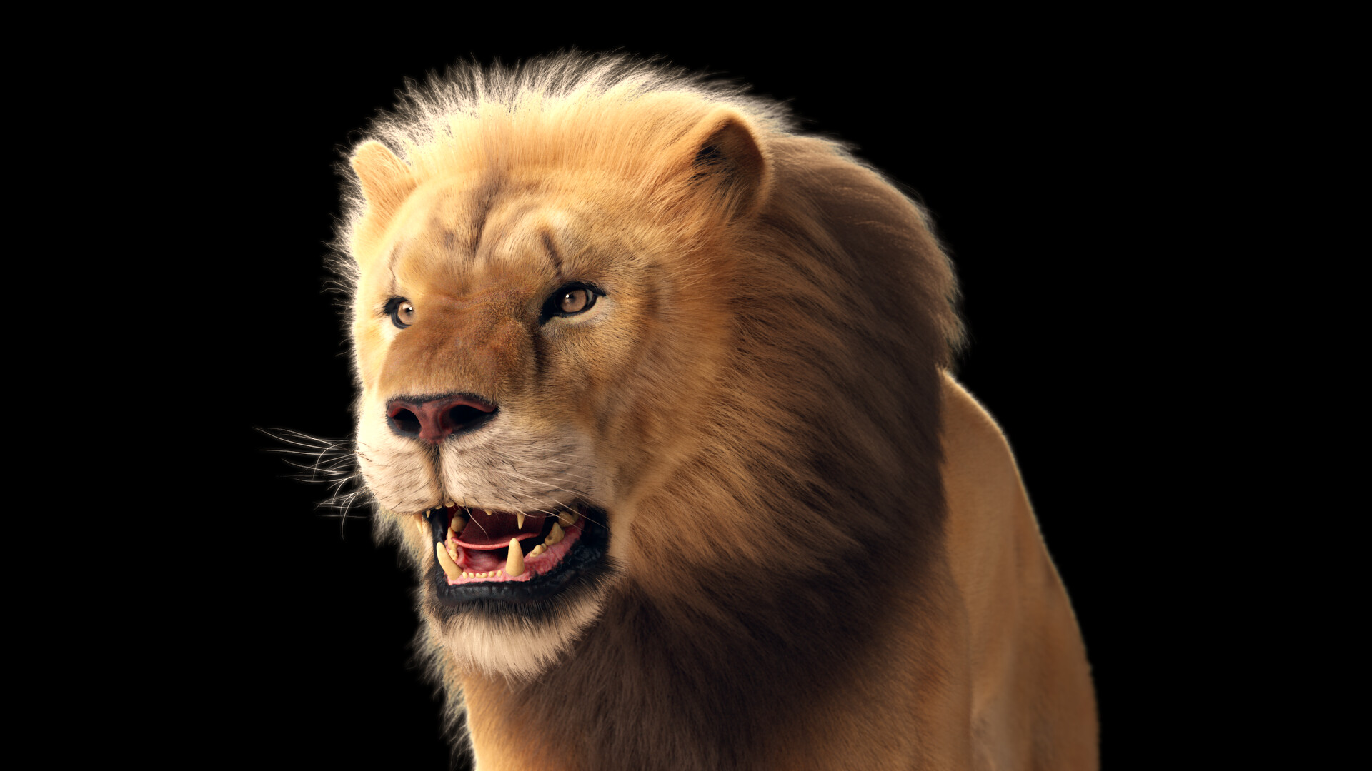 ArtStation - Lion Grooming and Shading Practice