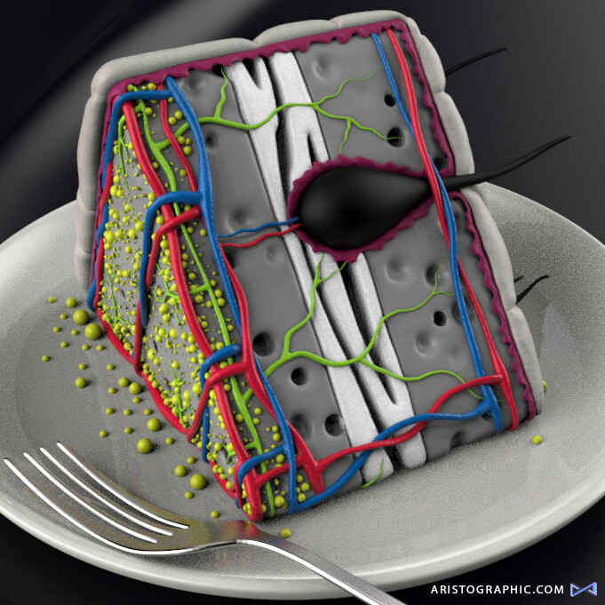 ArtStation - Skin Cake / Personal