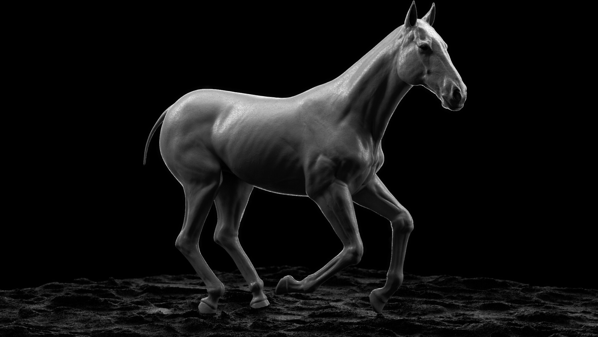 ArtStation - Horse - Free model for personal practice