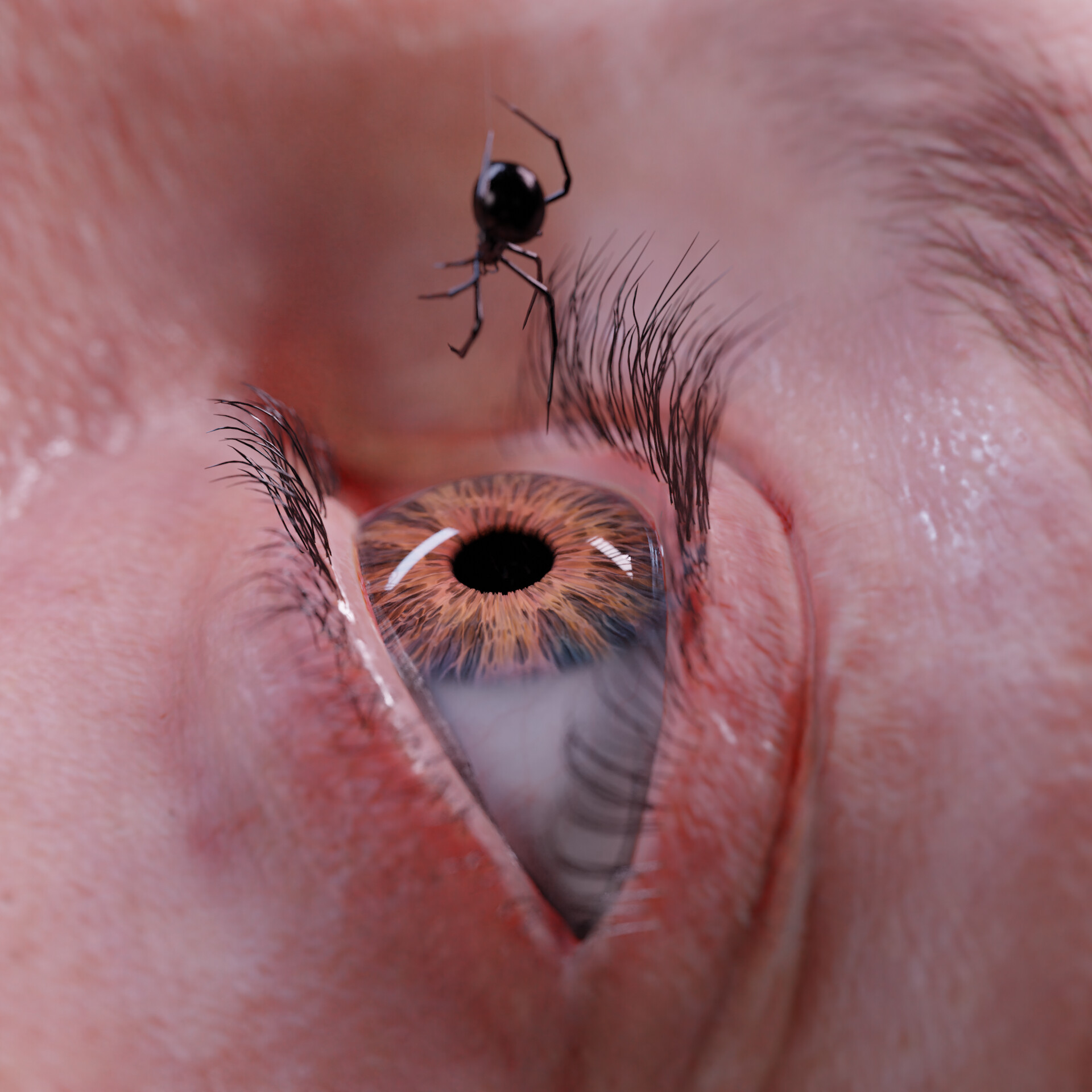 Spider In Eye 32,500+ Spider Eyes Stock Photos, Pictures