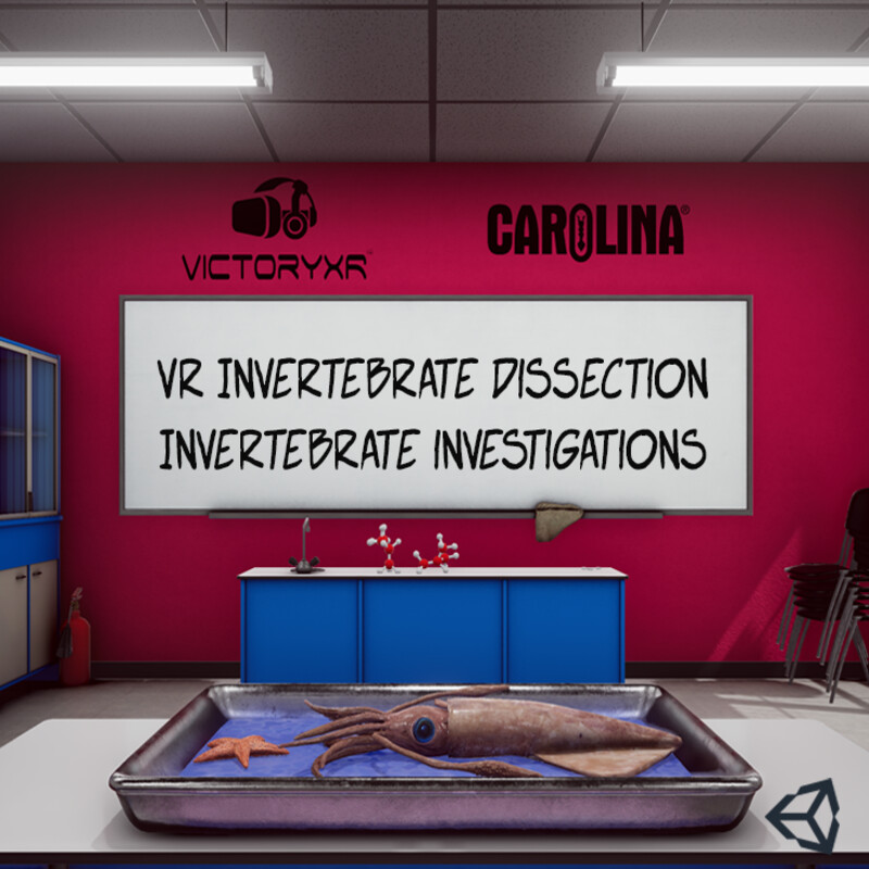 Aaron Hagens - VR Shark Dissection: Diggin The Dogfish