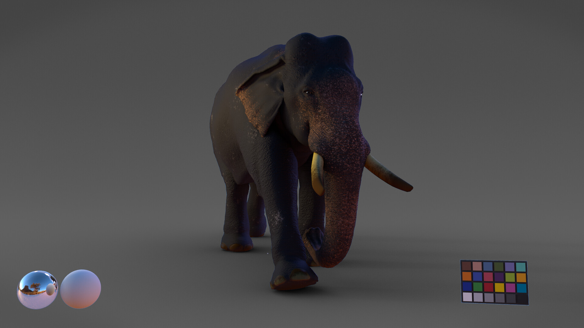 ArtStation - Elephant Lookdev