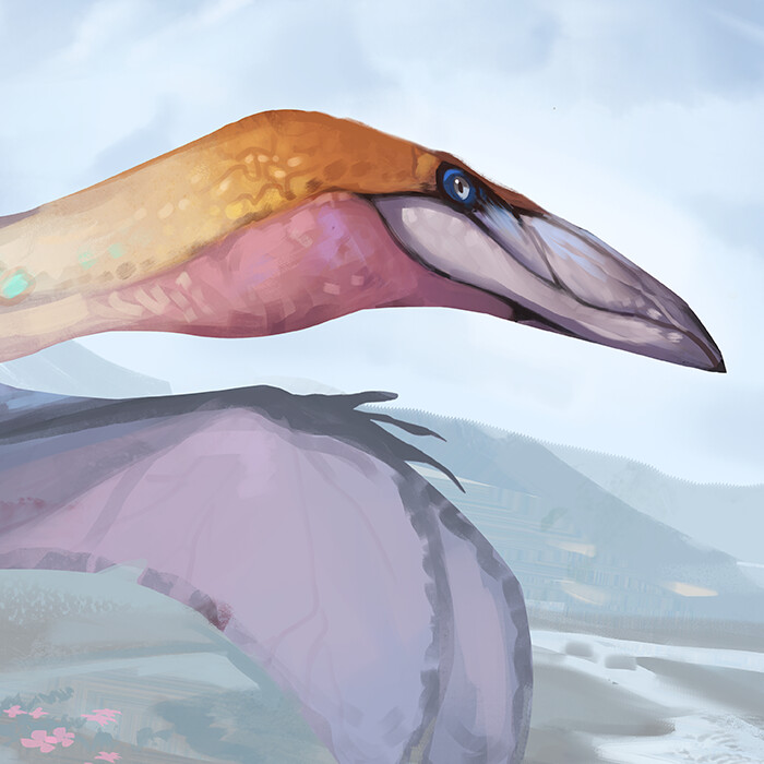 ArtStation - Shaledrake