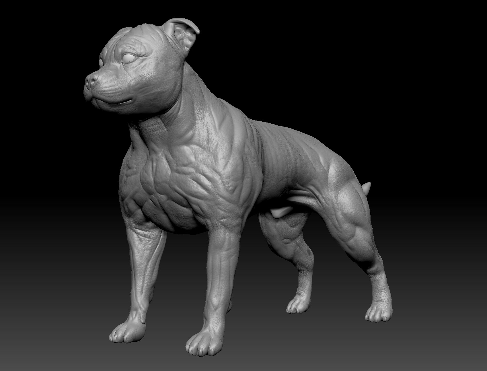 ArtStation - Staffordshire Dog