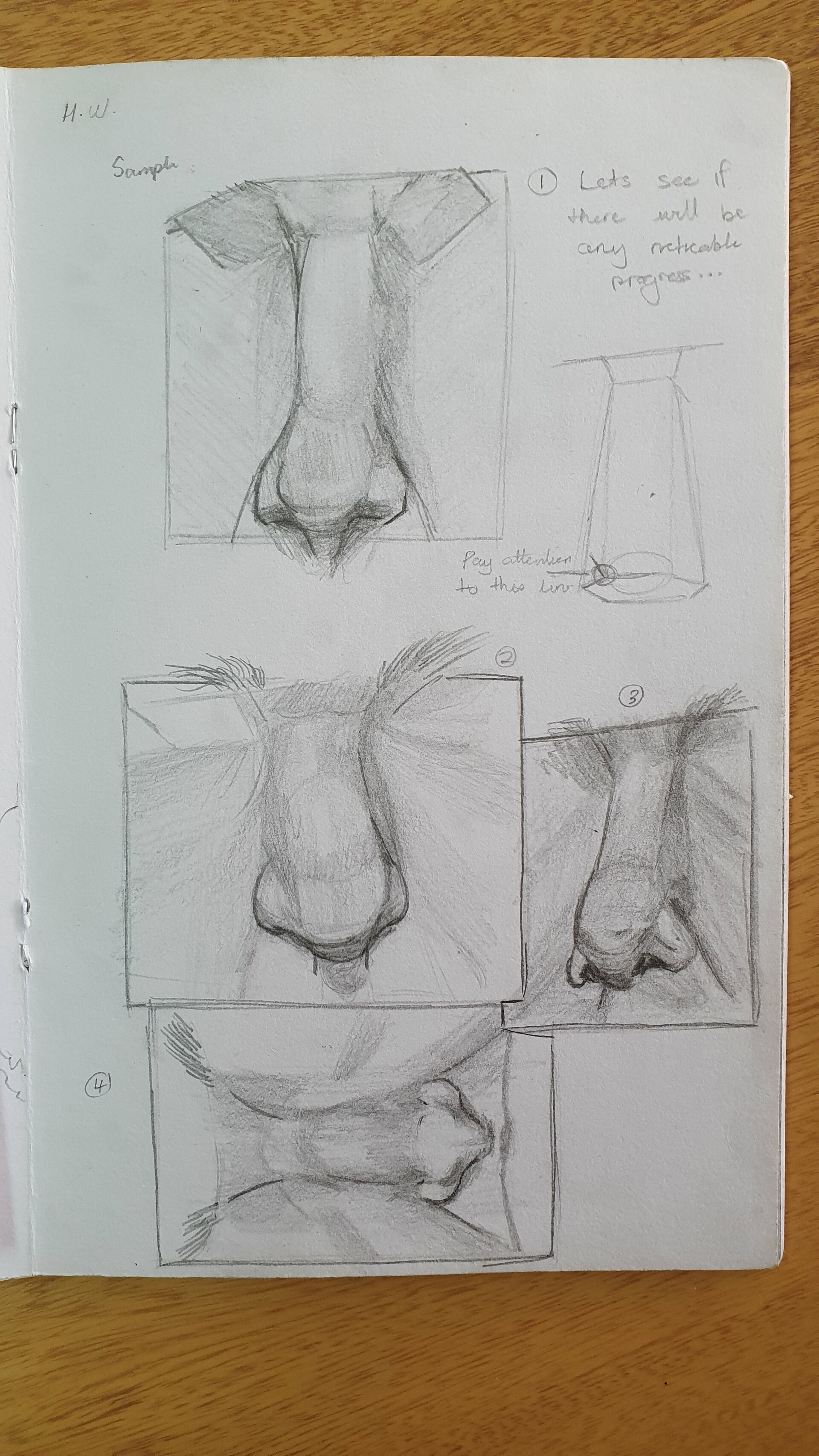 ArtStation - A Study of Noses