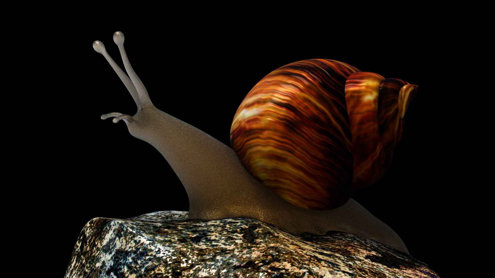 ArtStation - Snail