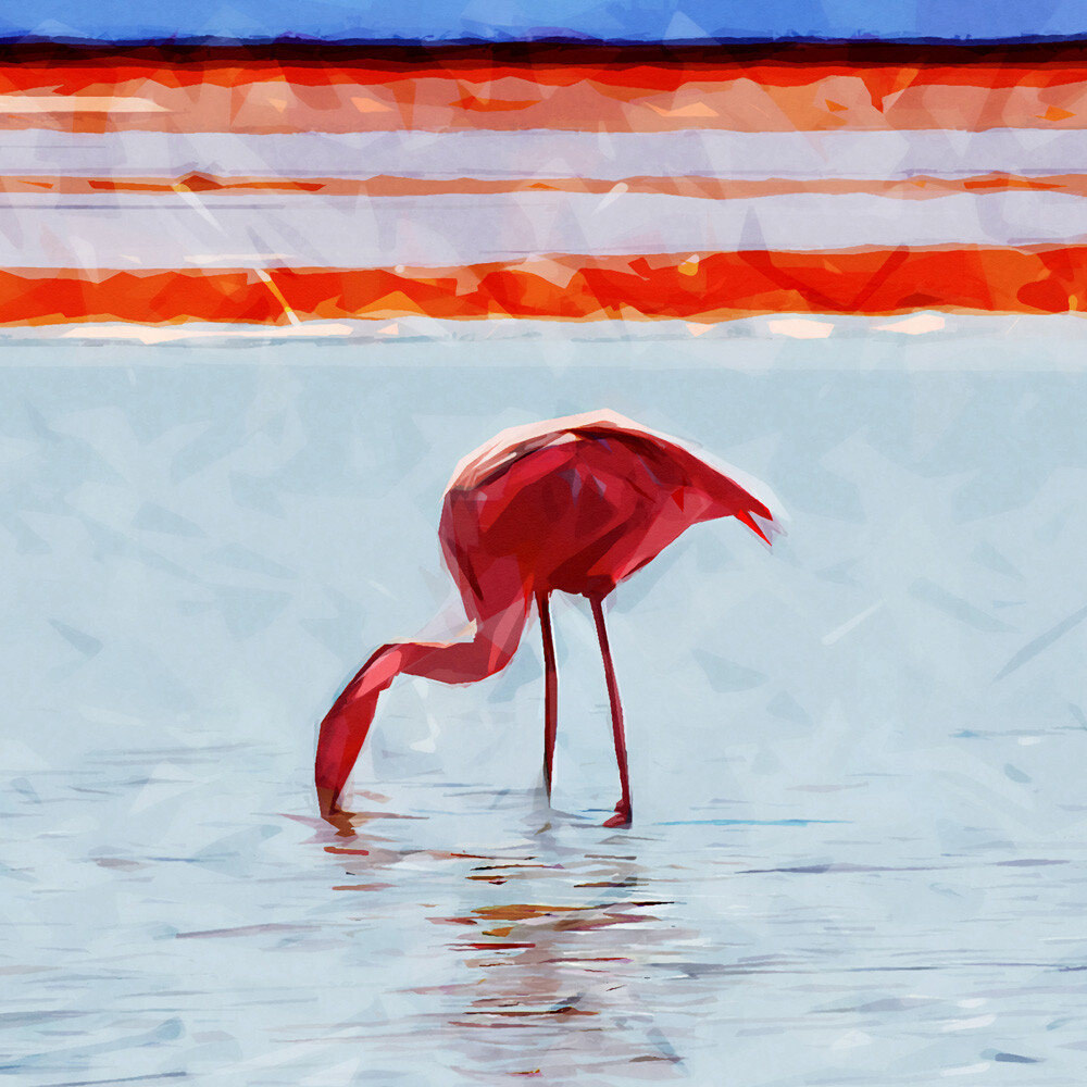 ArtStation - Flamingo