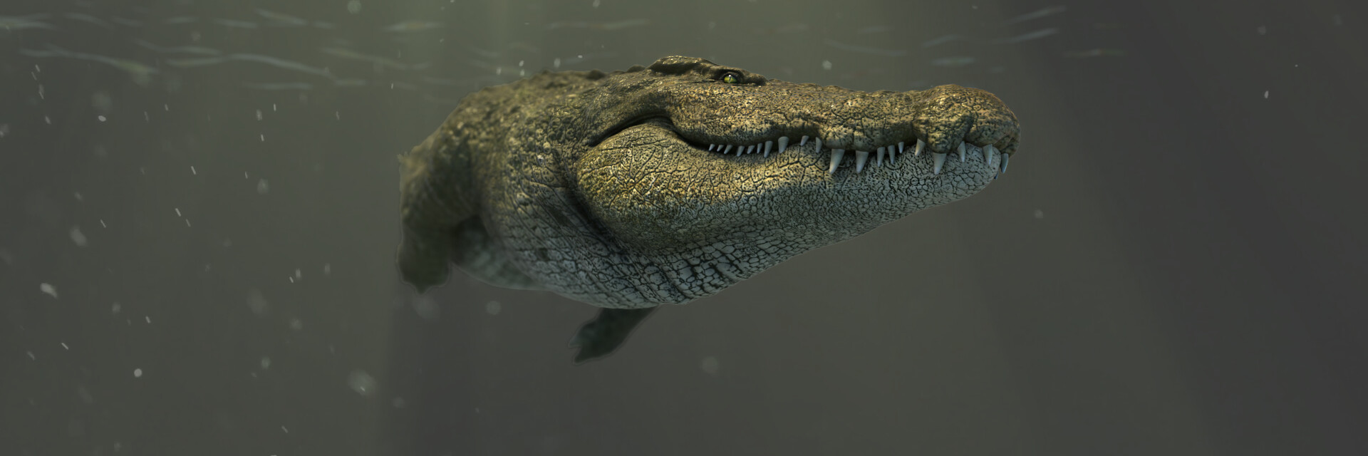 ArtStation - Crocodile 3D Model