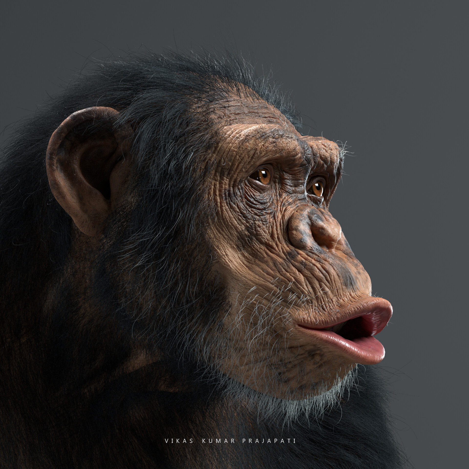 ArtStation - chimp "Patrick"