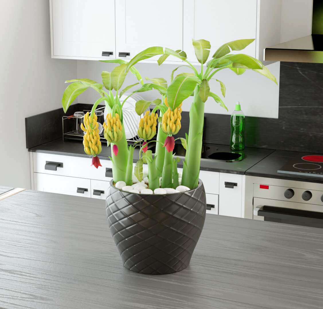 ArtStation - plant 3d rendering and video promotion