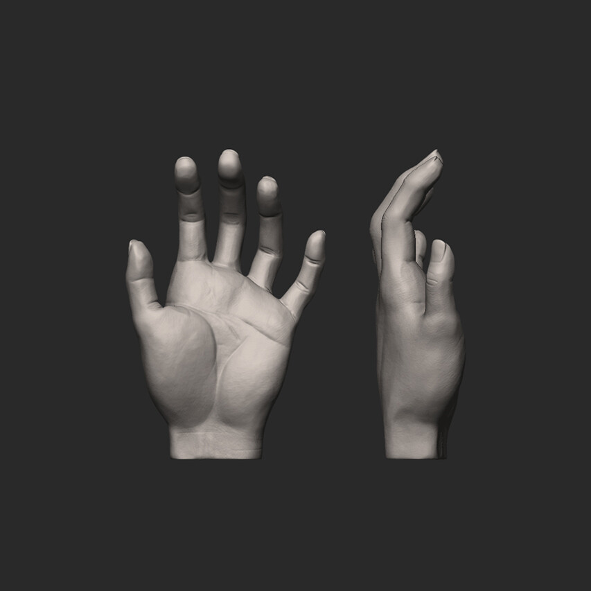 ArtStation - Hand anatomy study