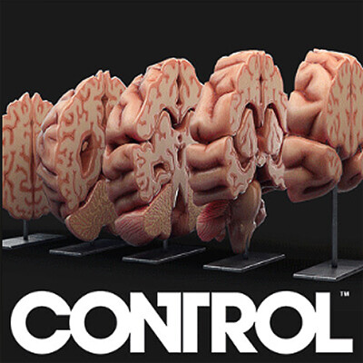ArtStation - CONTROL | Sliced brain