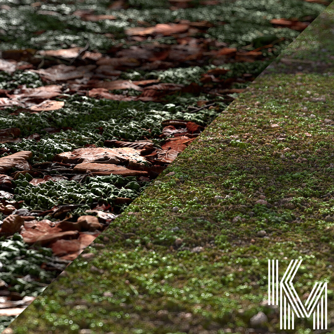 ArtStation - Natural Ground Textures | Photoscanned
