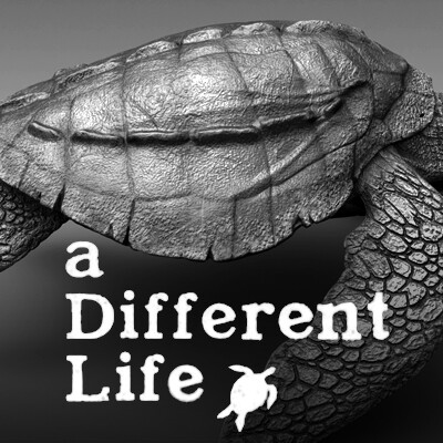 ArtStation - A Different Life