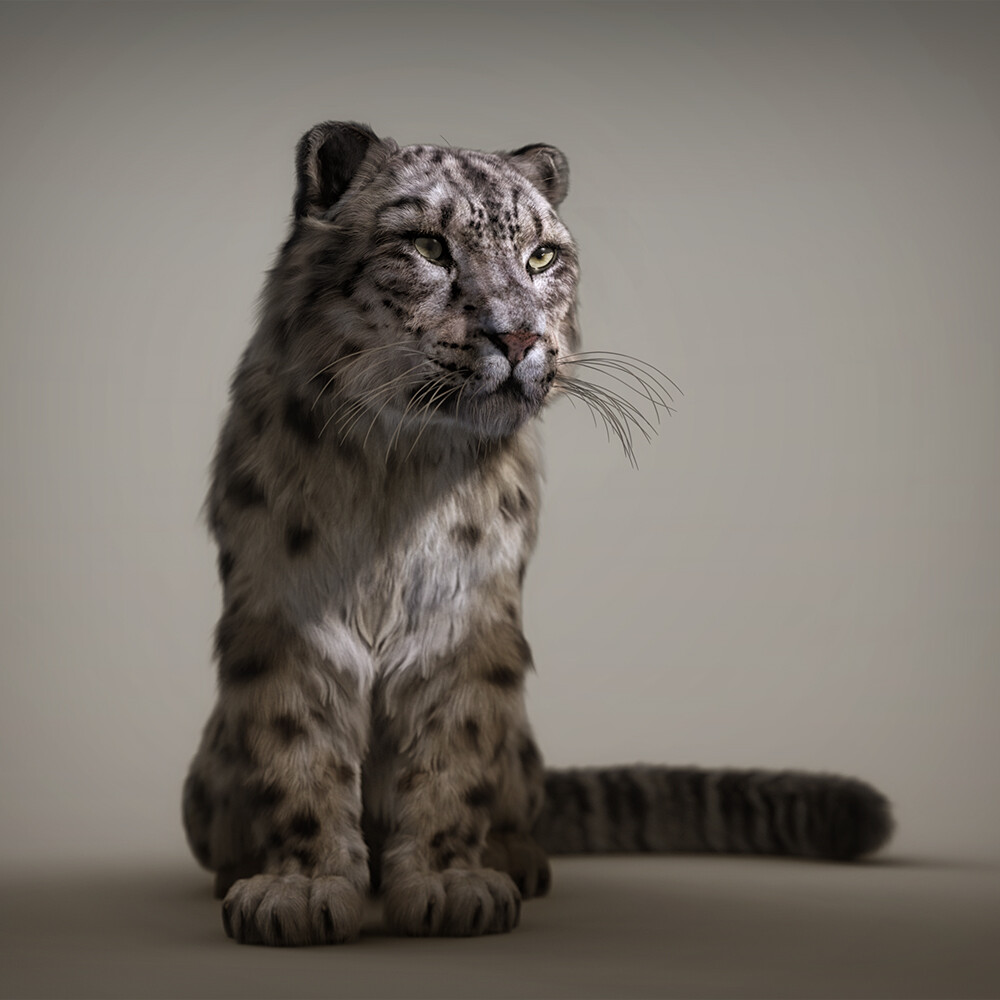 ArtStation - Snow leopard