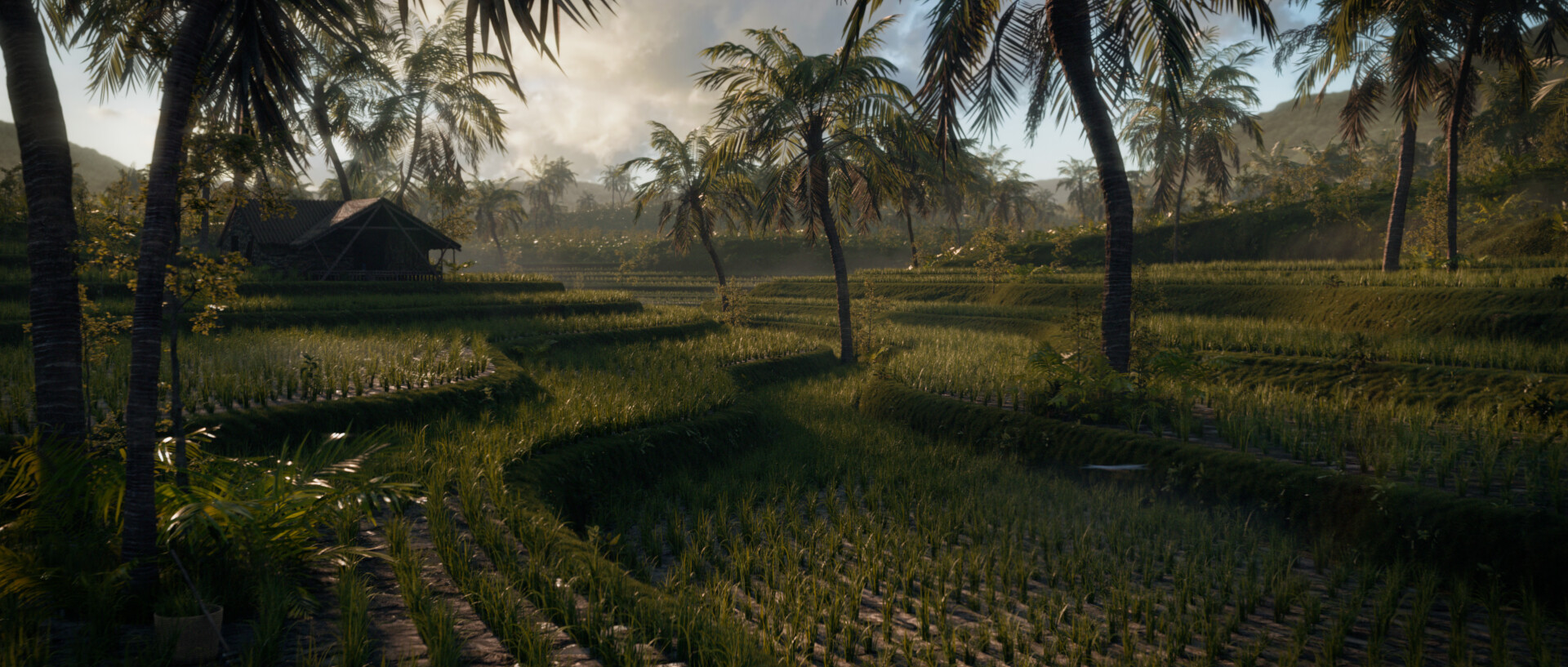 ArtStation - Rice Fields
