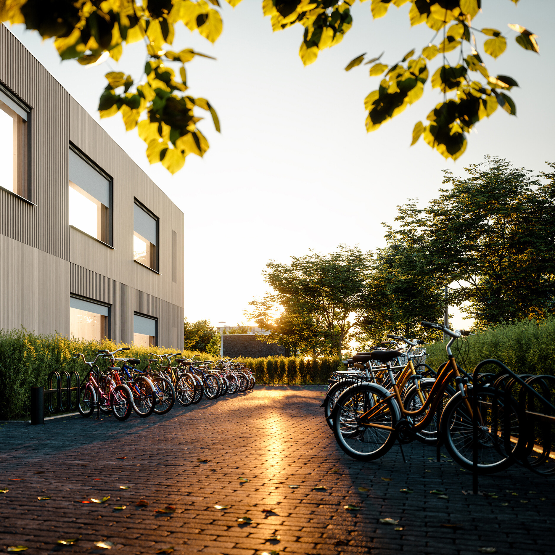 ArtStation - CGI: School De Boomgaard