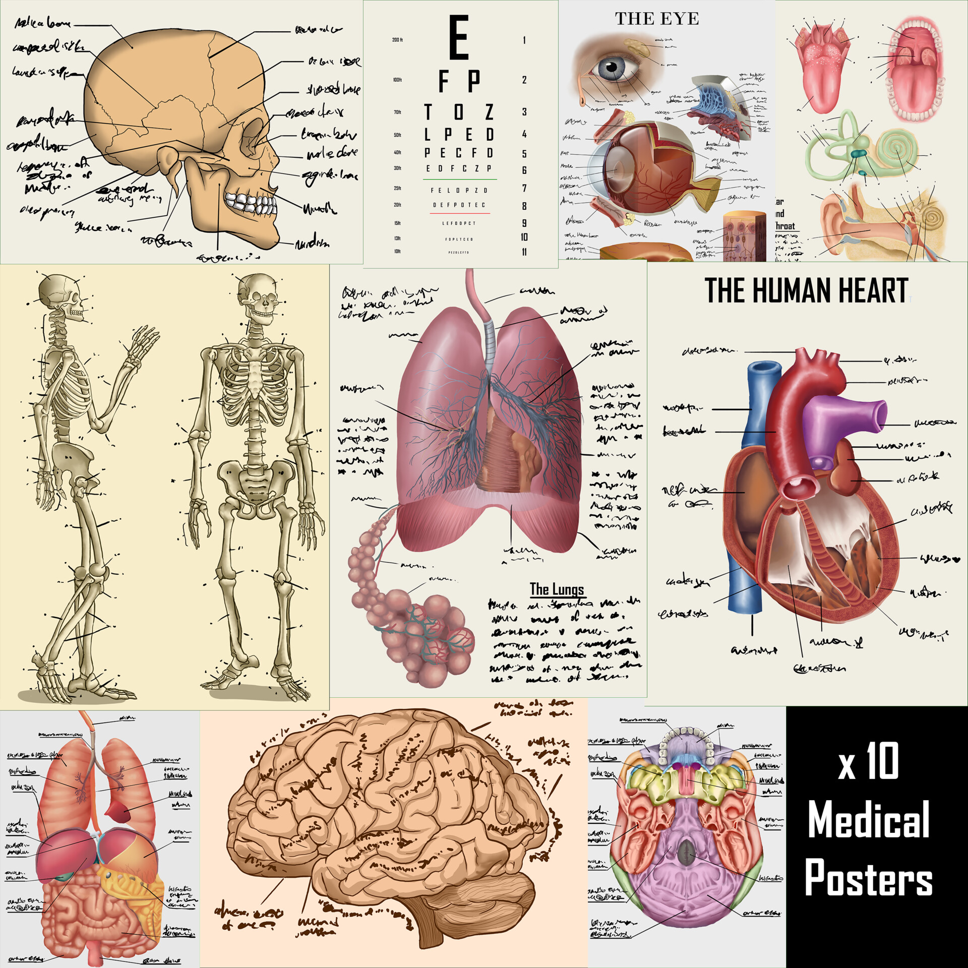 ArtStation - Medical Poster Bundle