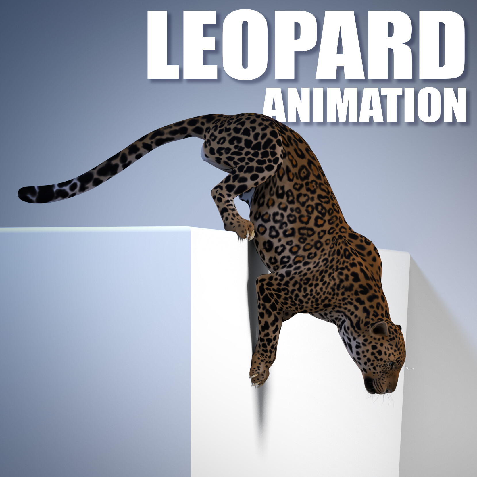ArtStation - Leopard animation practice