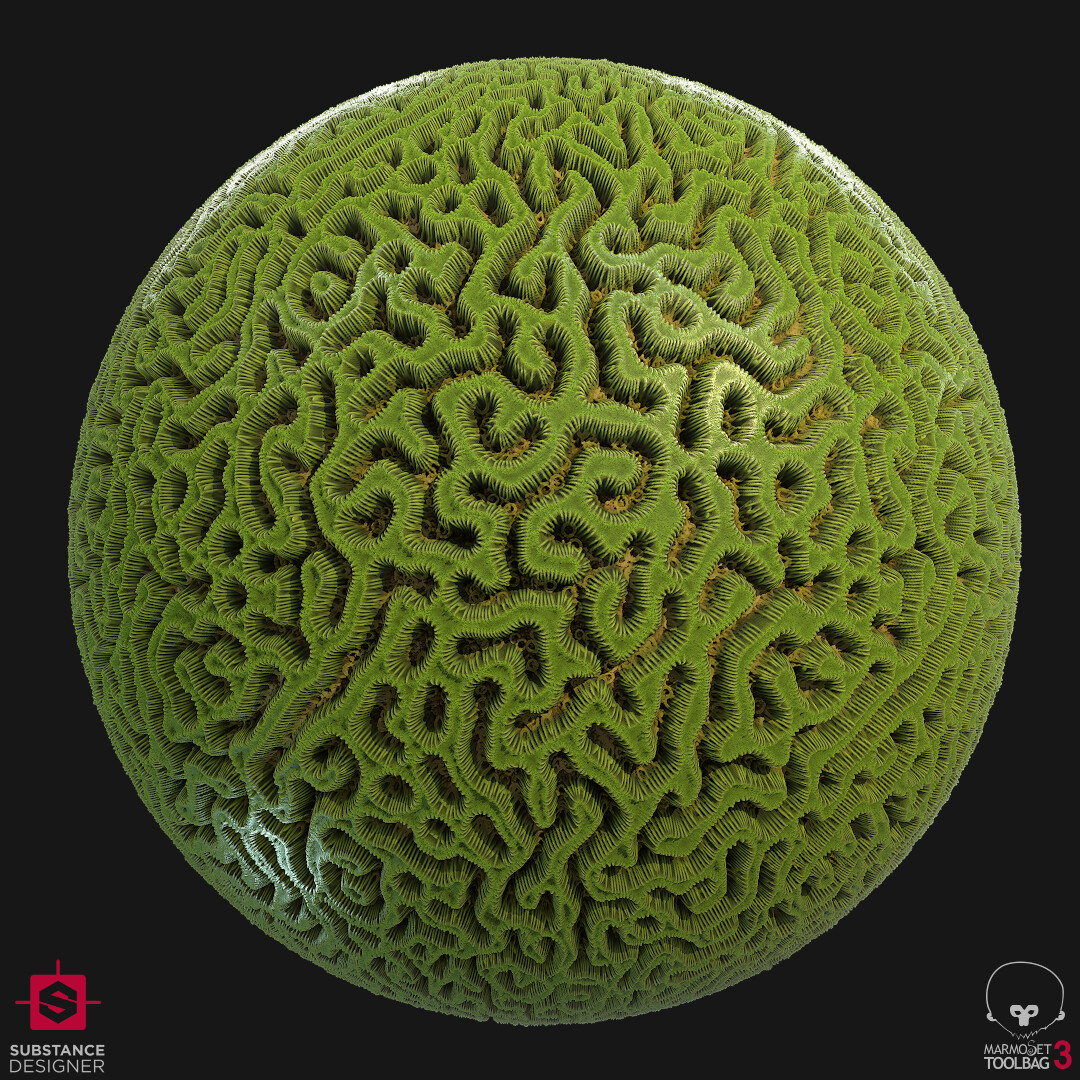 ArtStation - Substance Designer - Brain Coral