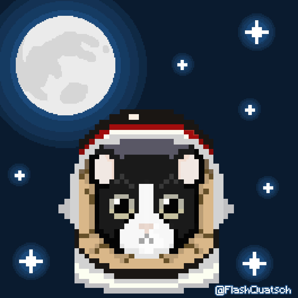 ArtStation - Space Cat