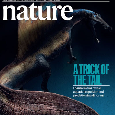 ArtStation - Spinosaurus - Nature Cover