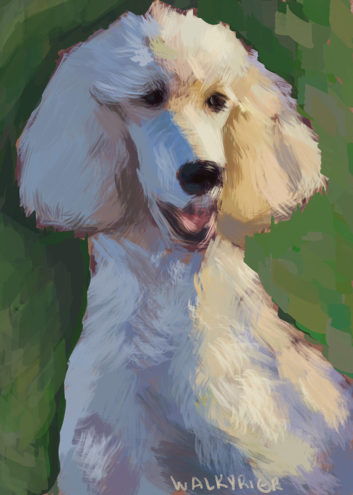 ArtStation - poodle portrait