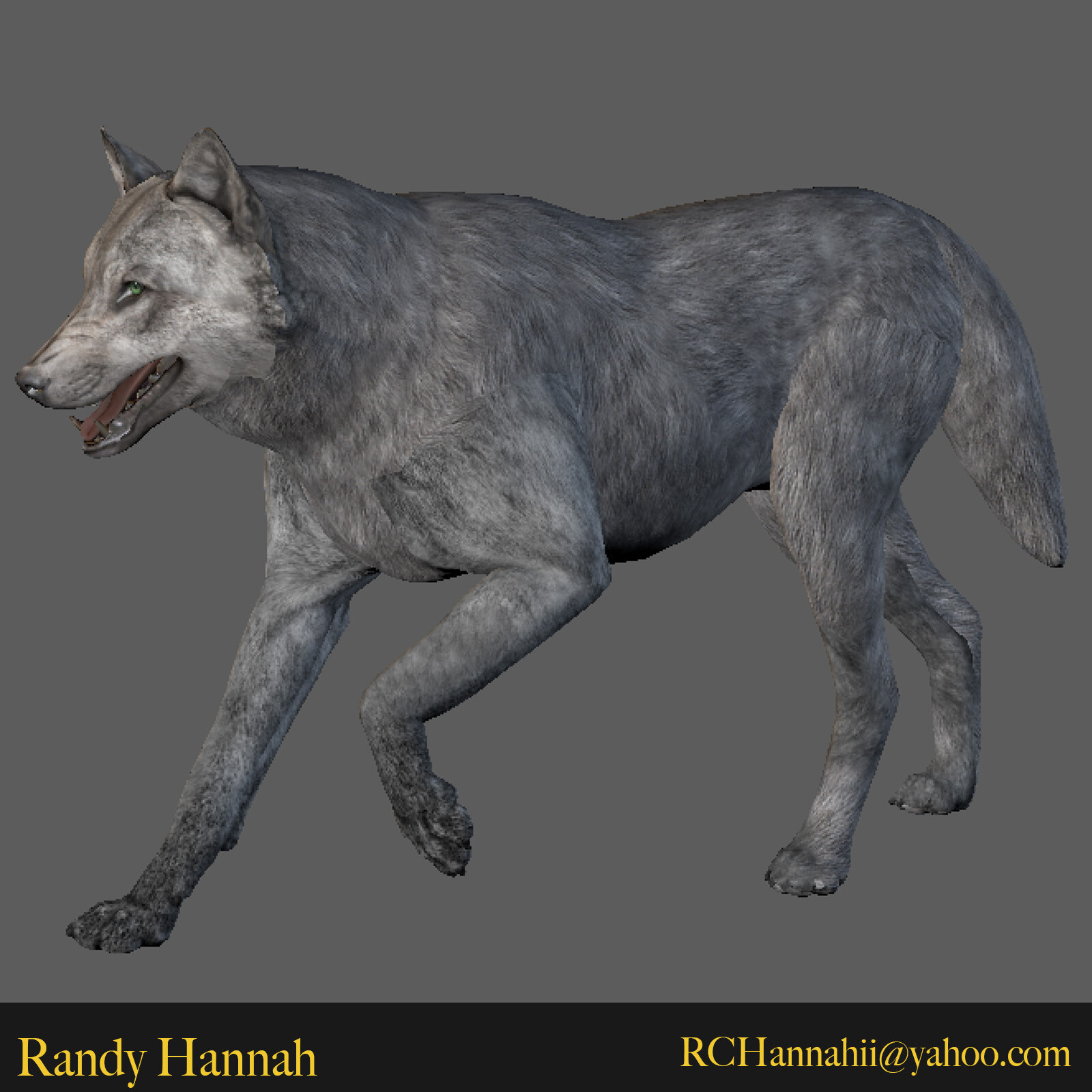 ArtStation - 5 Wolf Animation Cycles