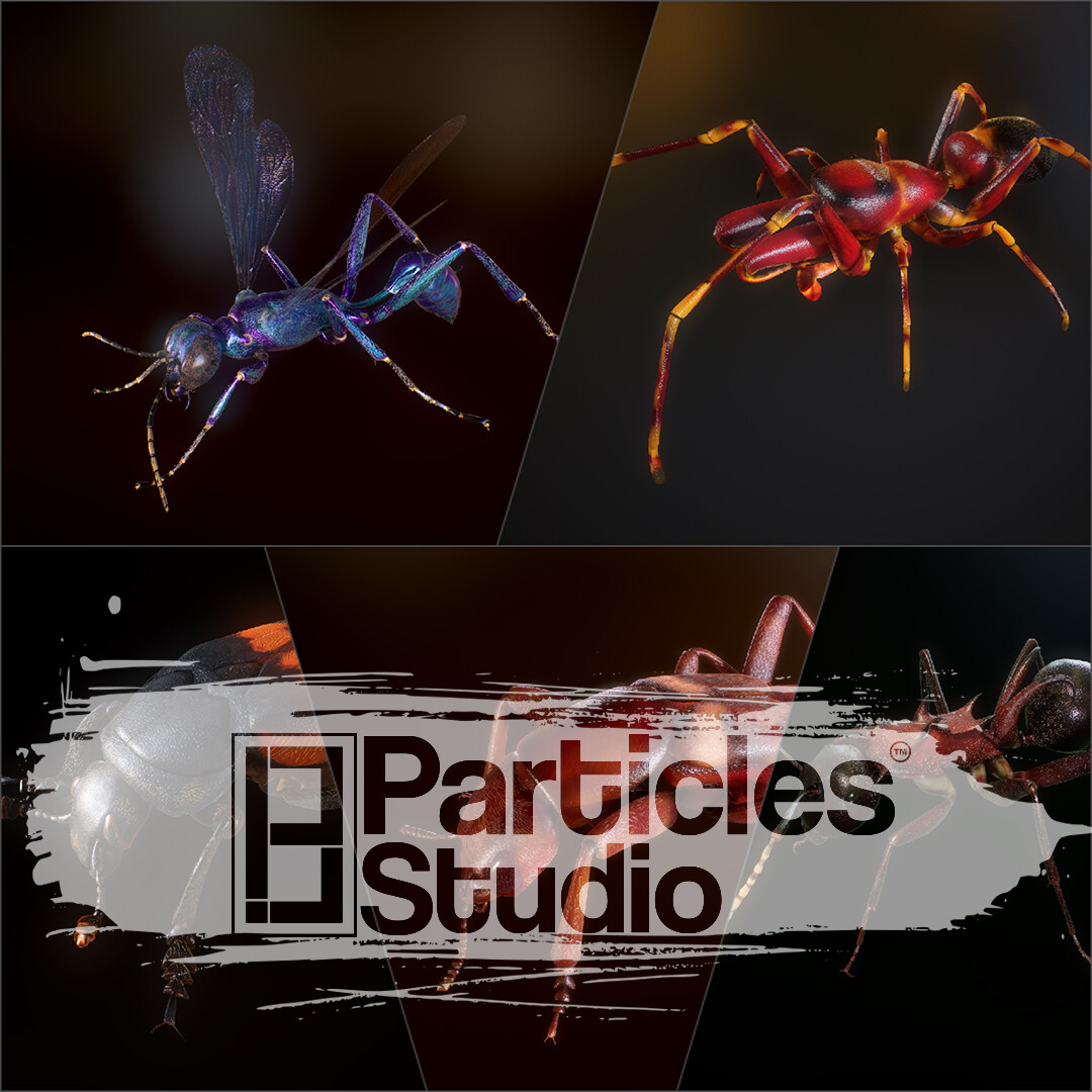 ArtStation - Insects