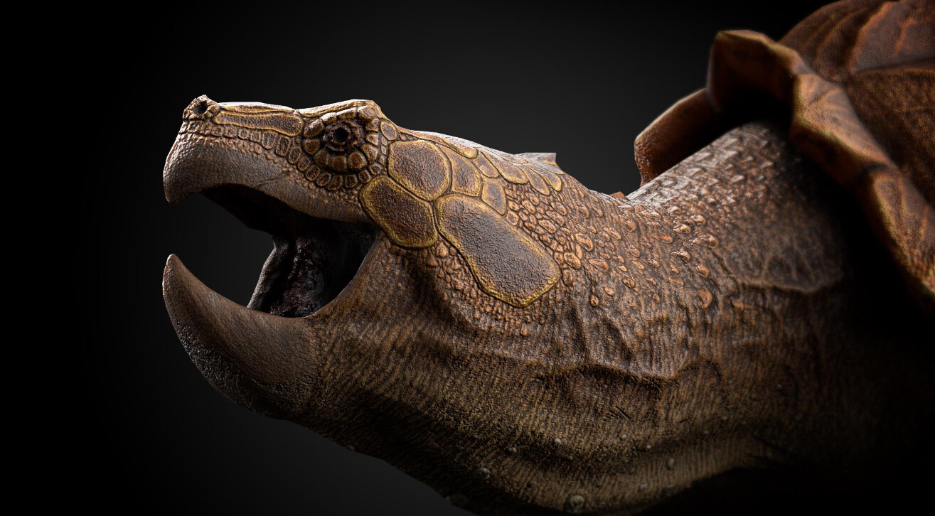 ArtStation - Christopher Daniel's Turtle!