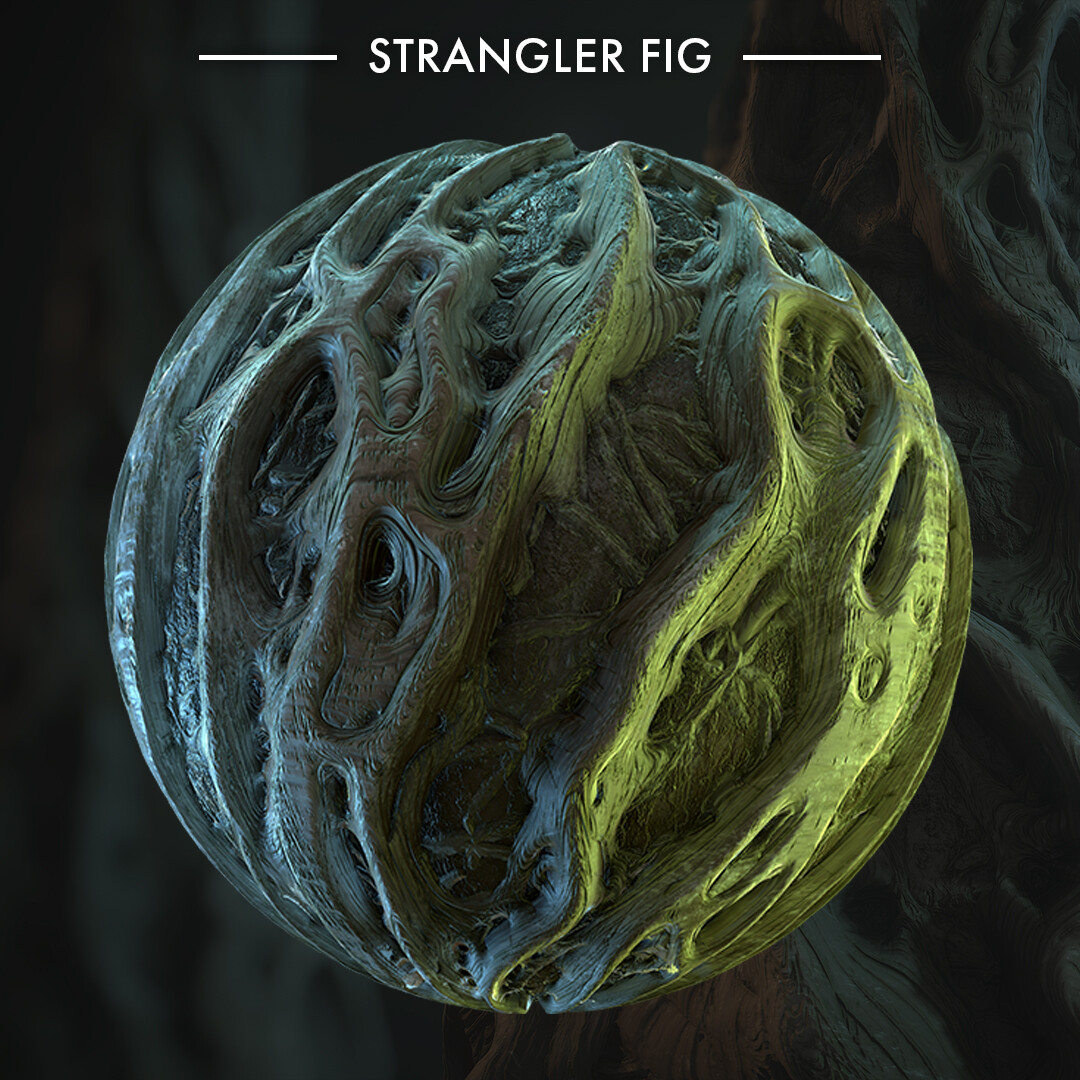 ArtStation - Substance Designer - Strangler Fig