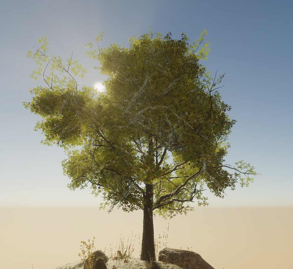 ArtStation - Speedtree test with Unity HDRP