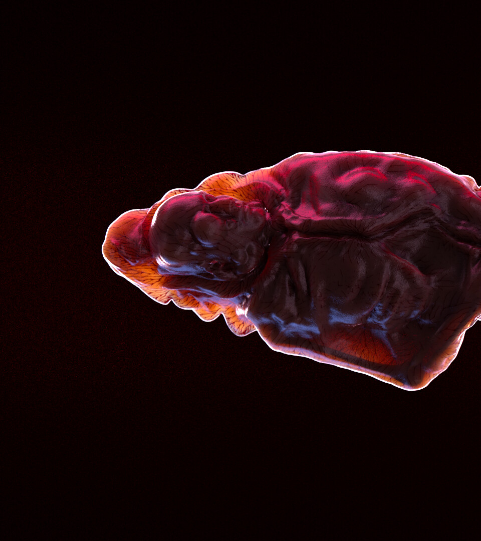 ArtStation - bodysnatcher